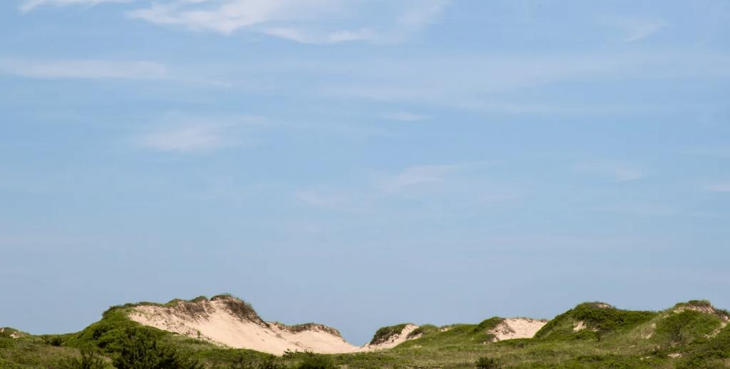 On the road to net negative, carbon removal can help speed ...