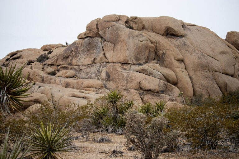 Enhanced Rock Weathering | Carbon180