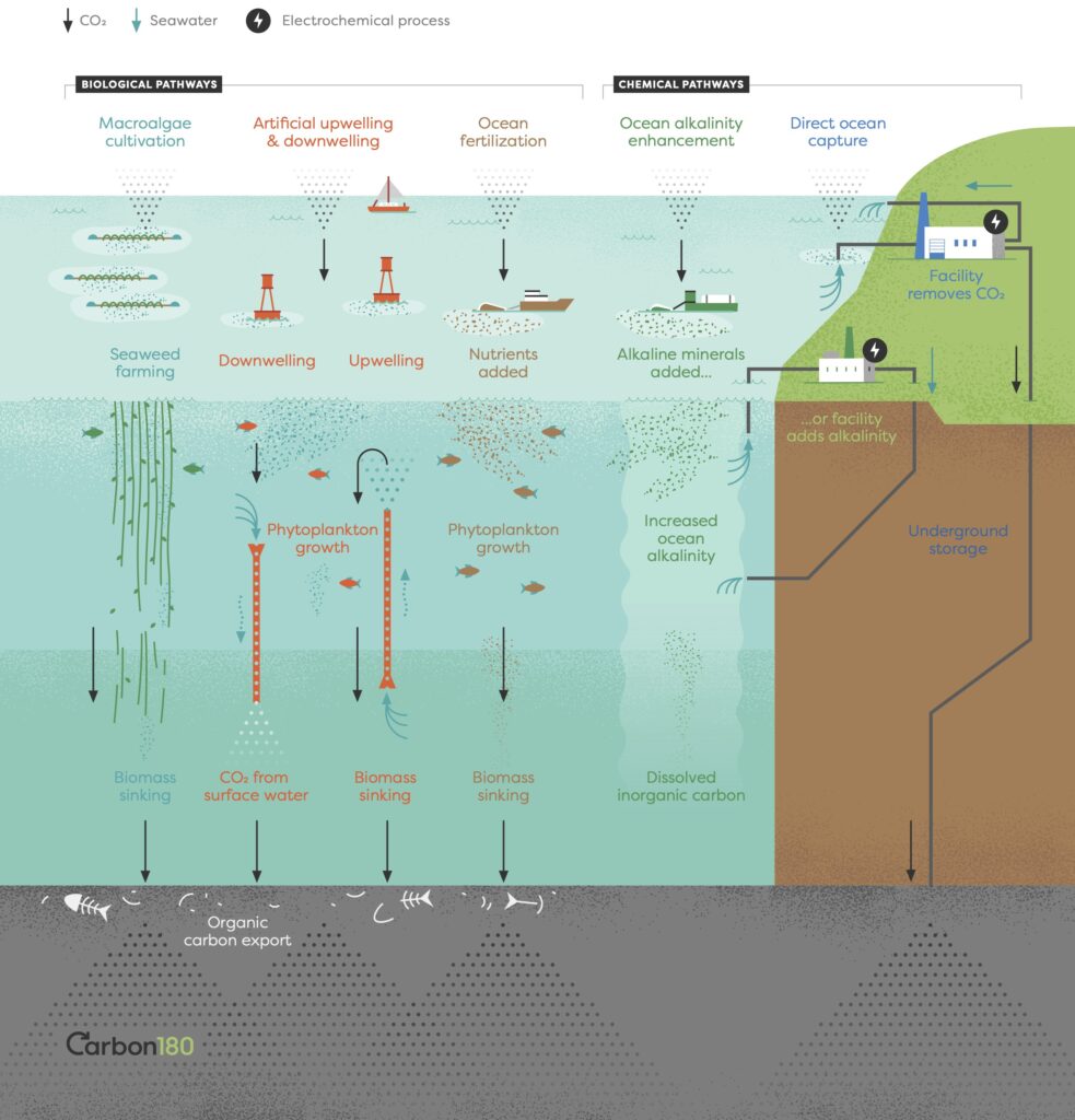 Ocean Carbon Removal | Carbon180