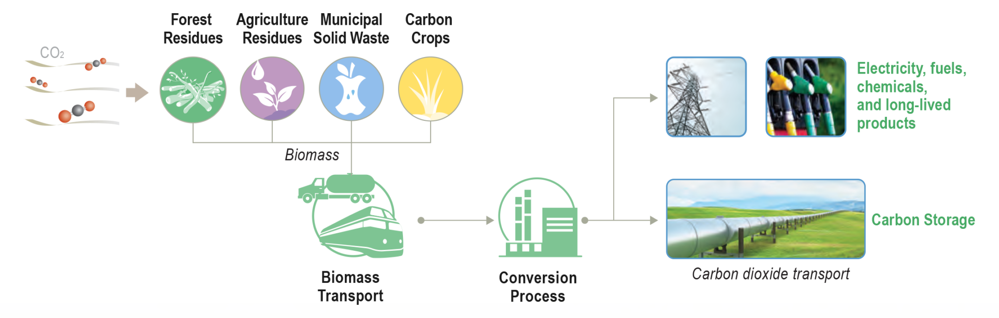 Biomass Carbon Removal & Storage | Carbon180