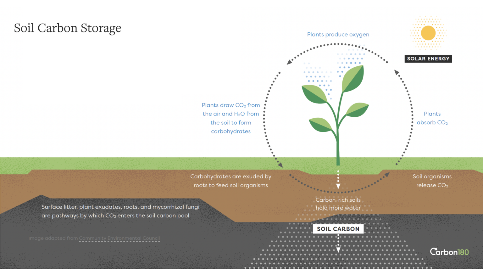 Soil Carbon Removal | Carbon180