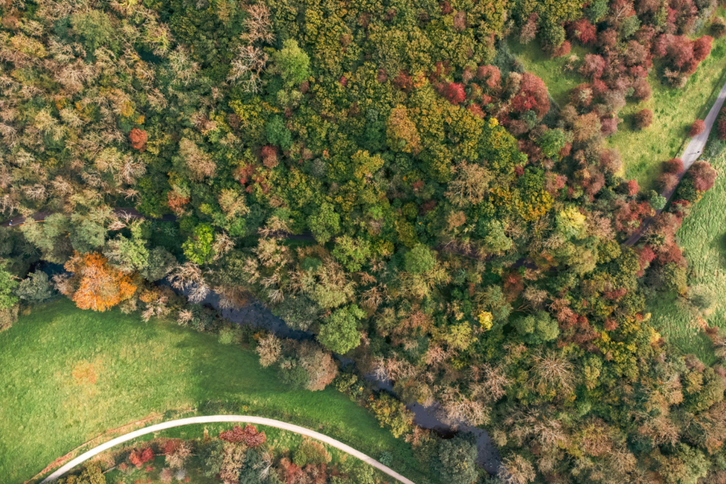 A roadmap for land in carbon removal | Carbon180